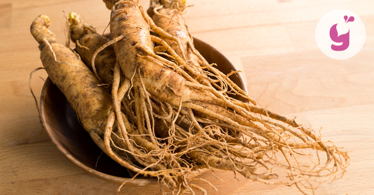 Ženšen: účinky a který druh ženšenu si vybrat?