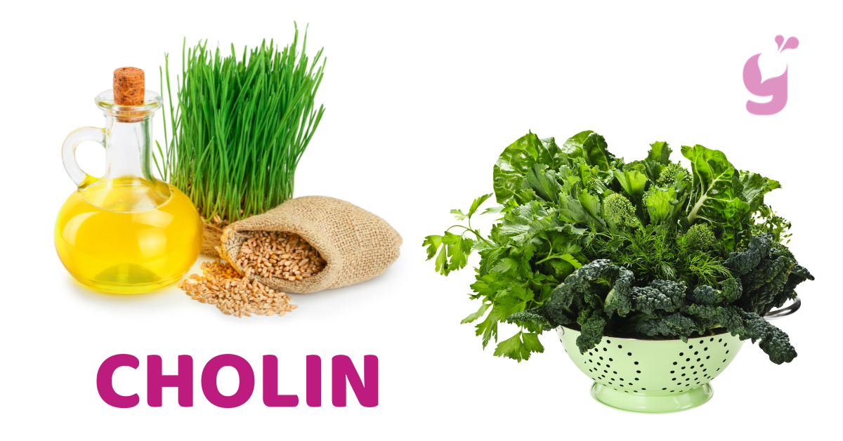 Co to je cholin? Jeho účinky vás překvapí