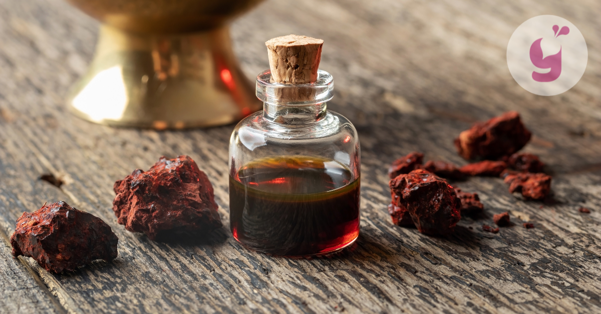 Dračí krev – dbejte na správné užívání a dávkování